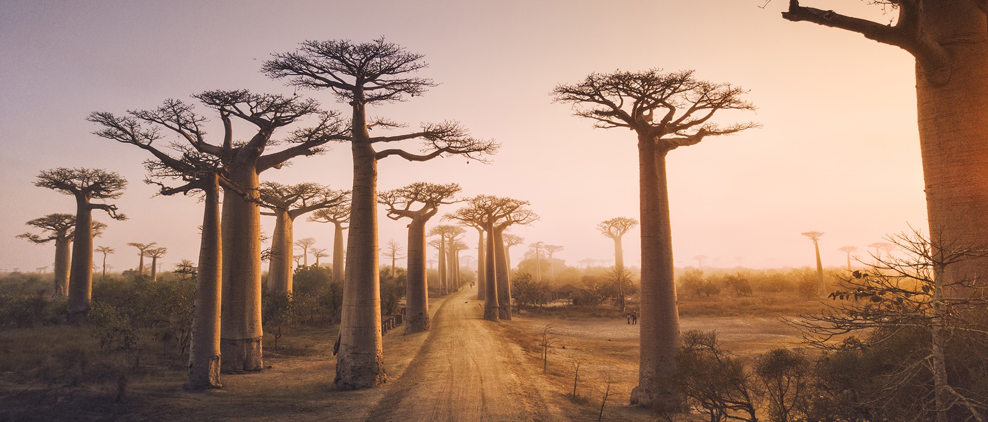 Driving in Madagascar: What You Need to Know